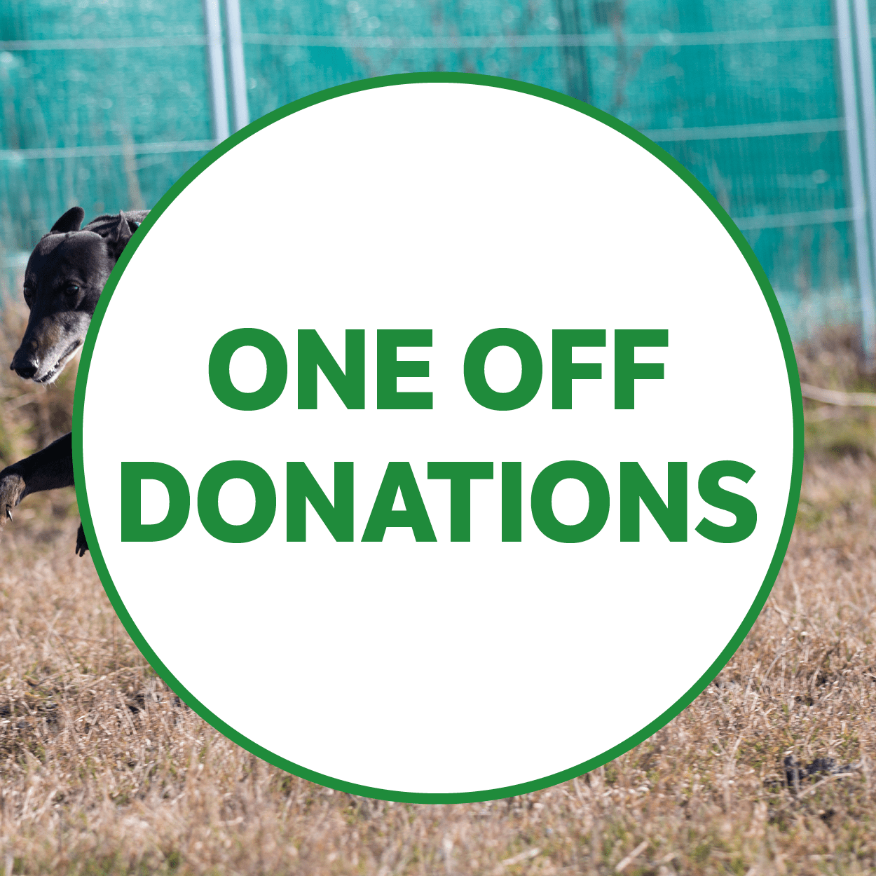 One Off Donations - Tia Rescue