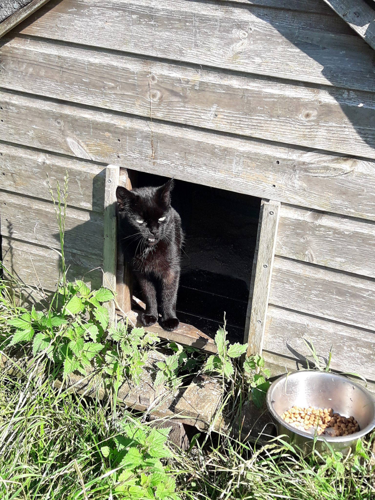 Tia Rescue | Update on the move