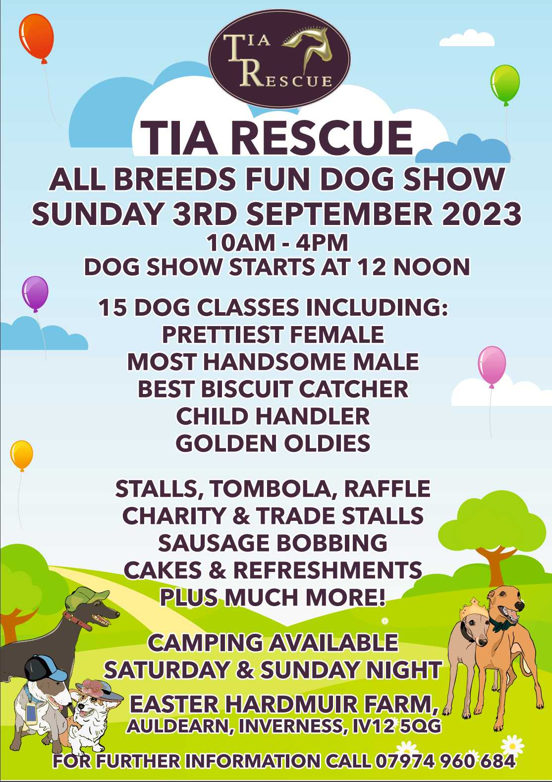 Tia Rescue | Tia Rescue | All Breeds Fun Dog Show | Inverness