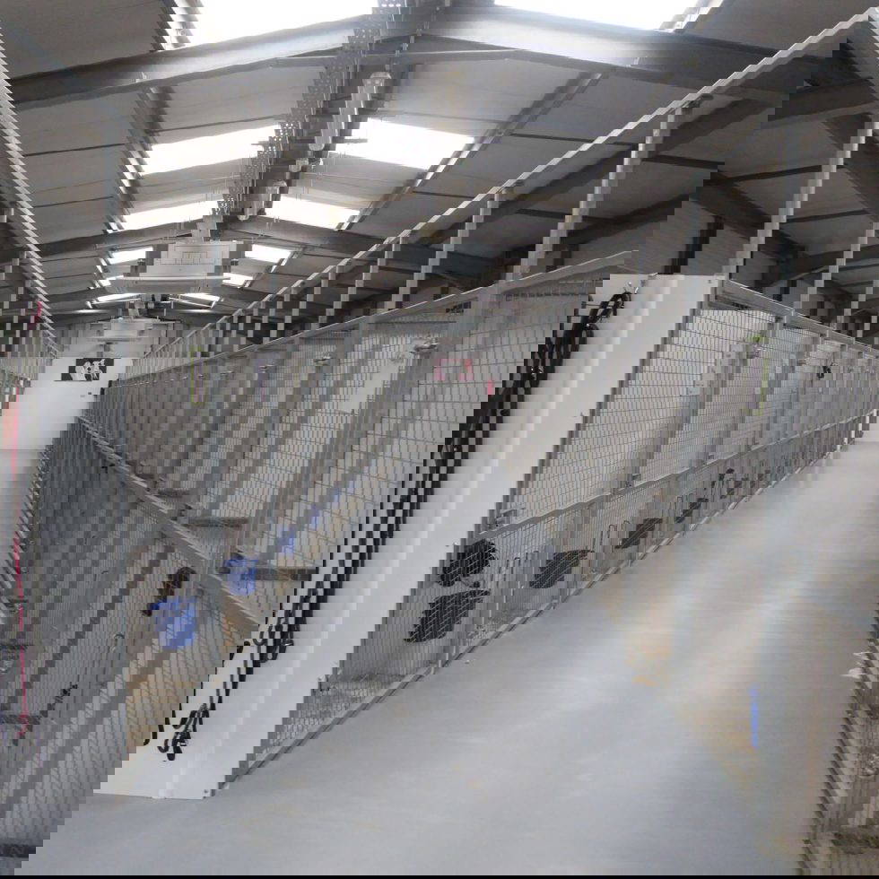 Tia Rescue | Brick Appeal for the kennel build