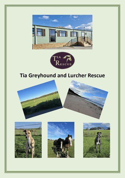 01 caravan | Tia Rescue